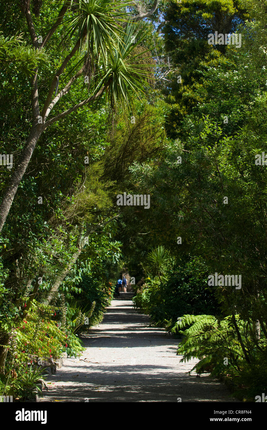 Sub tropical formal gardens hi-res stock photography and images - Alamy