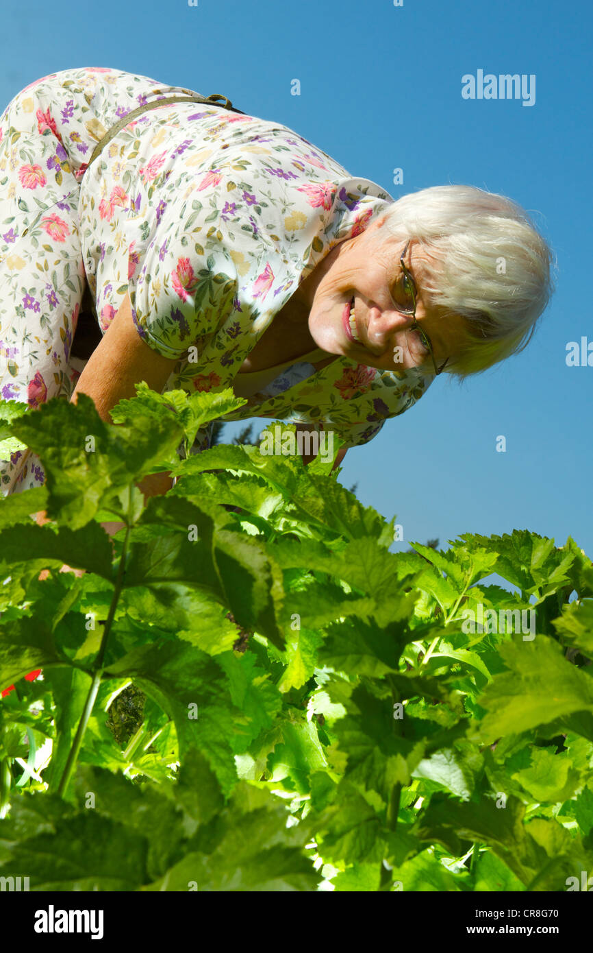 Elderly finnish people hi-res stock photography and images - Alamy