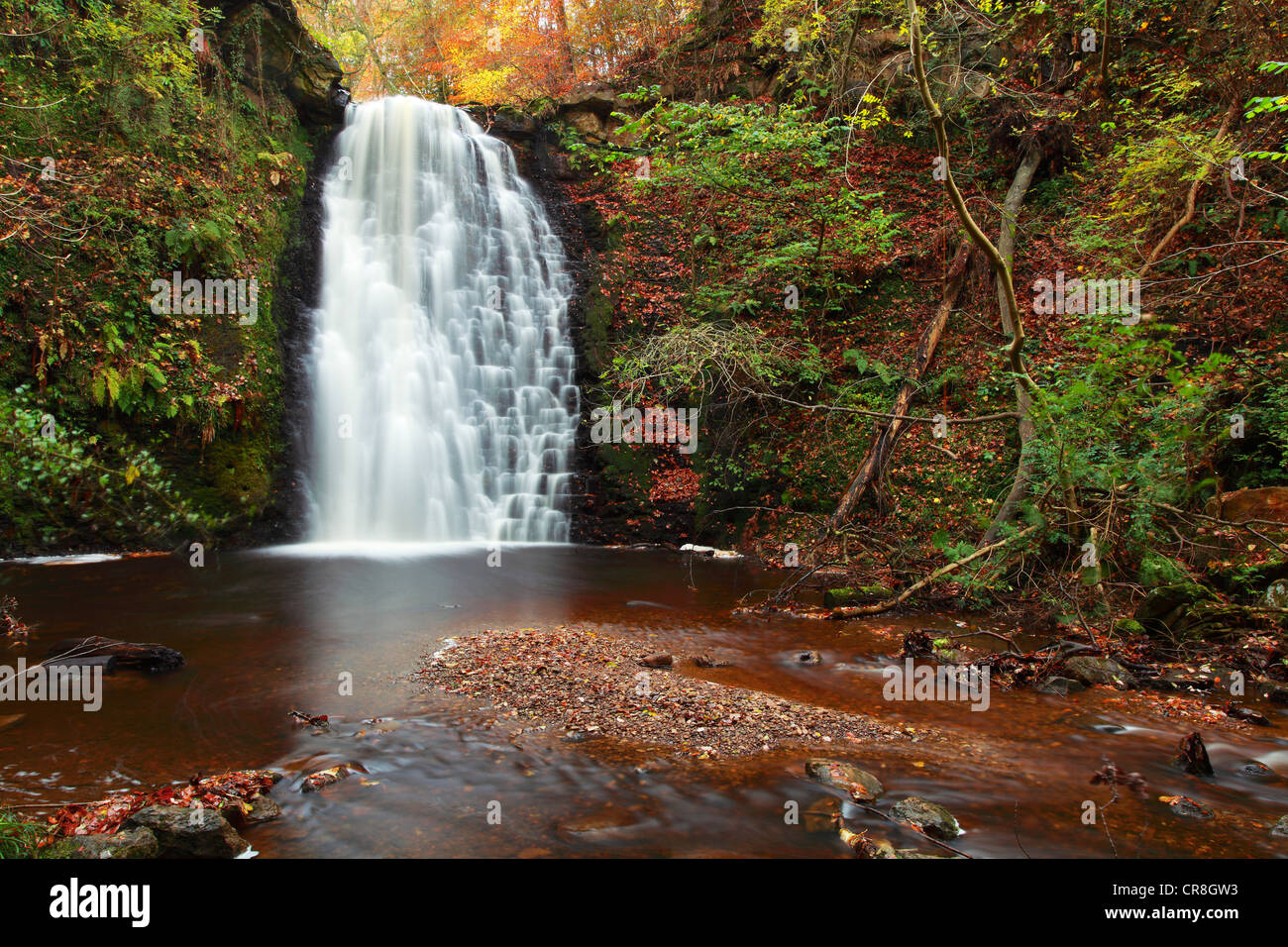 Sneaton forest falling foss waterfall hi-res stock photography and ...