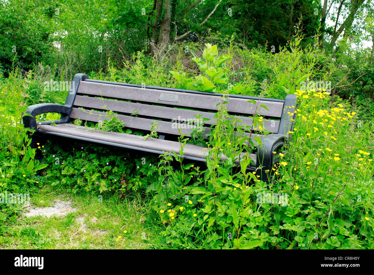 The woods seasoned hi-res stock photography and images - Alamy