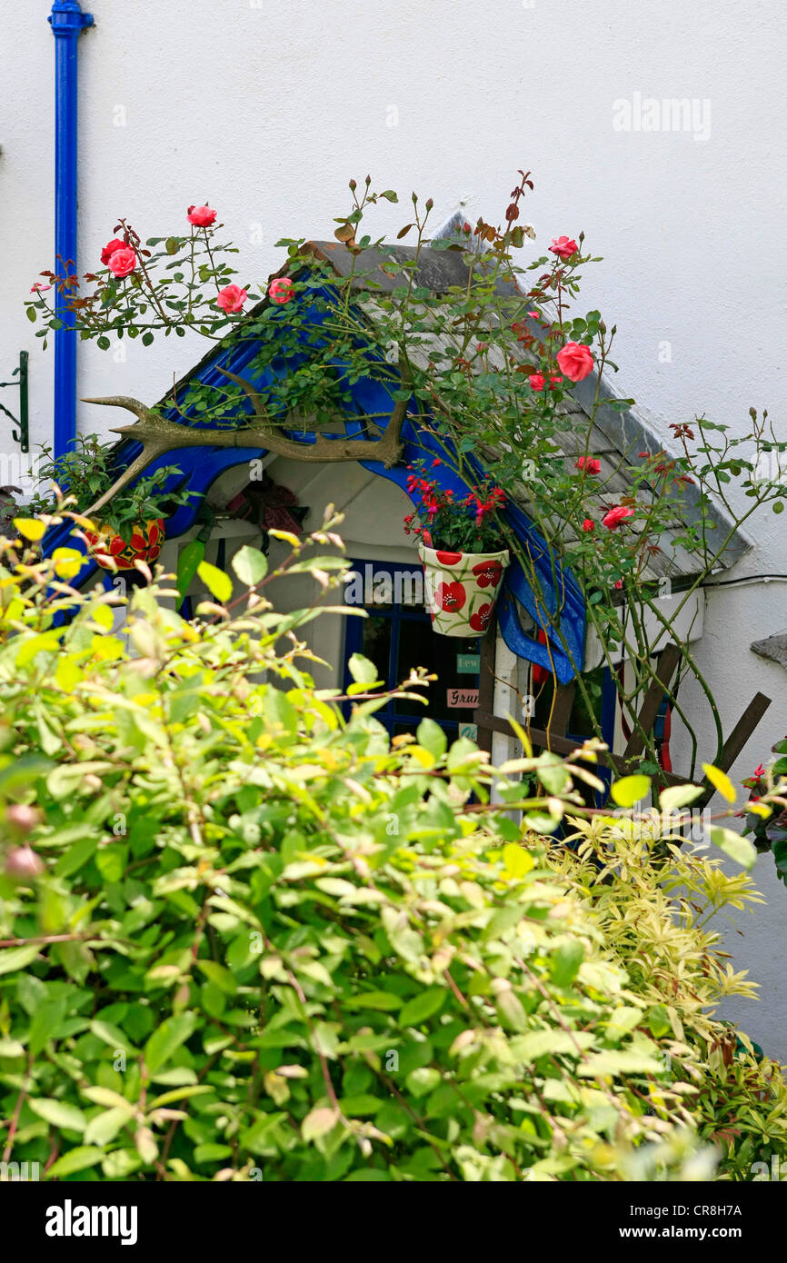 Roses around the door hi-res stock photography and images - Alamy