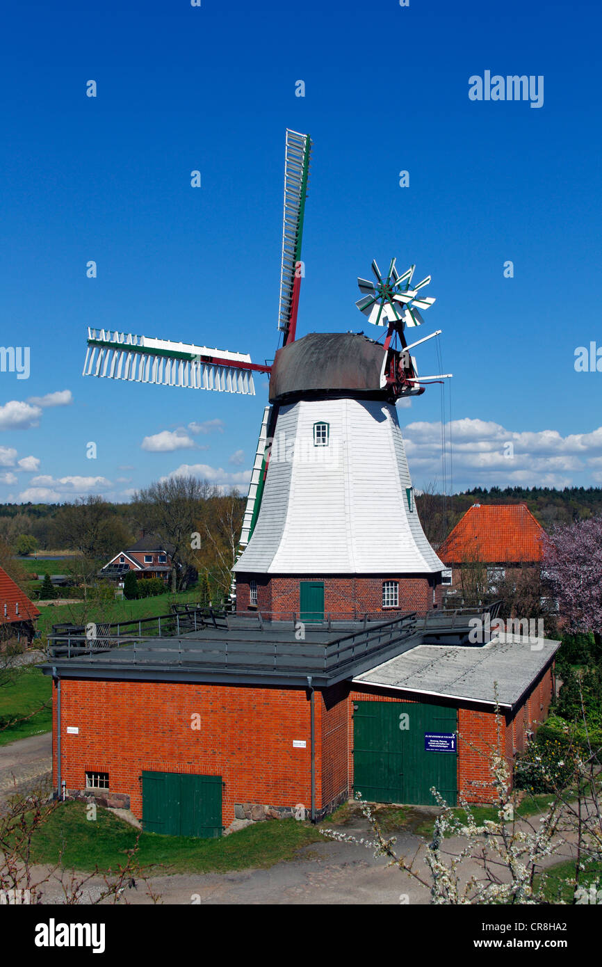 Historic windmill with wind rose built in a typical Dutch style ...