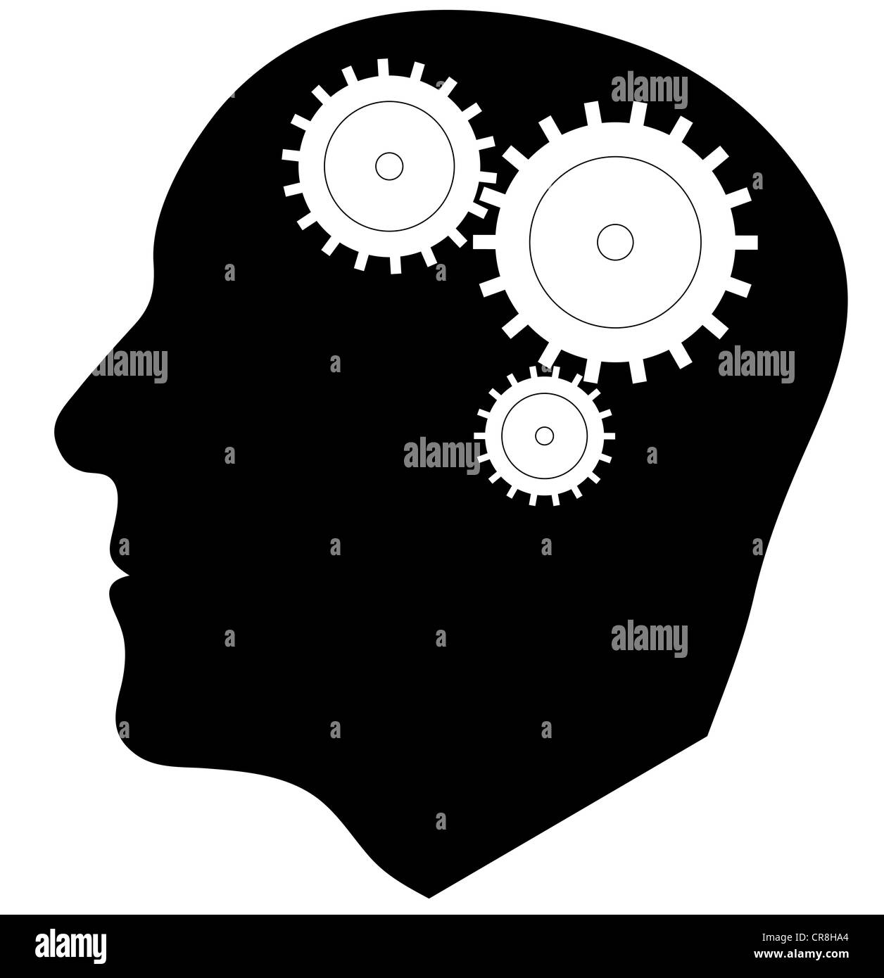 Stylized head with cogs inside. All on white background Stock Photo - Alamy