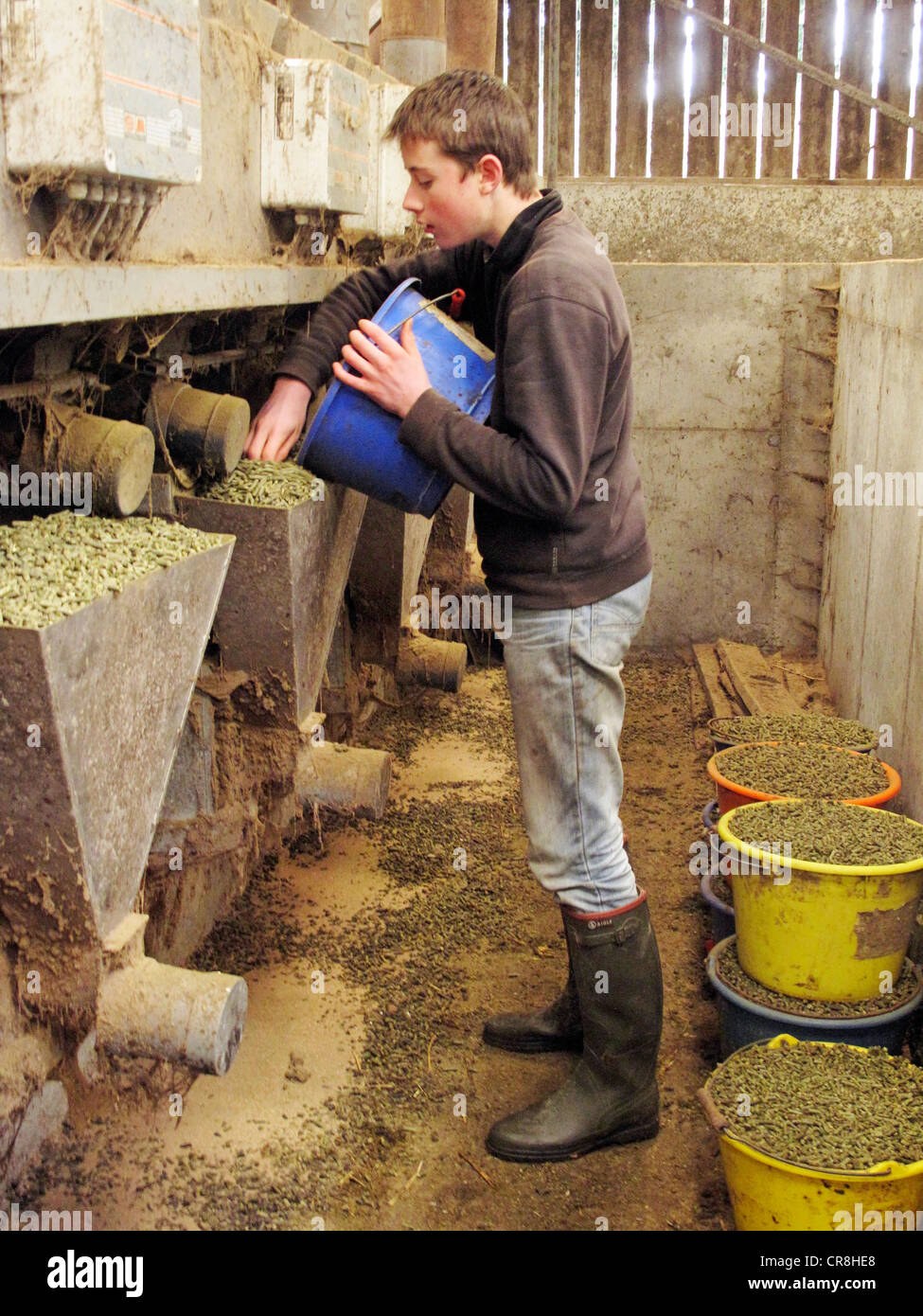 Teenager farm france hi-res stock photography and images - Alamy