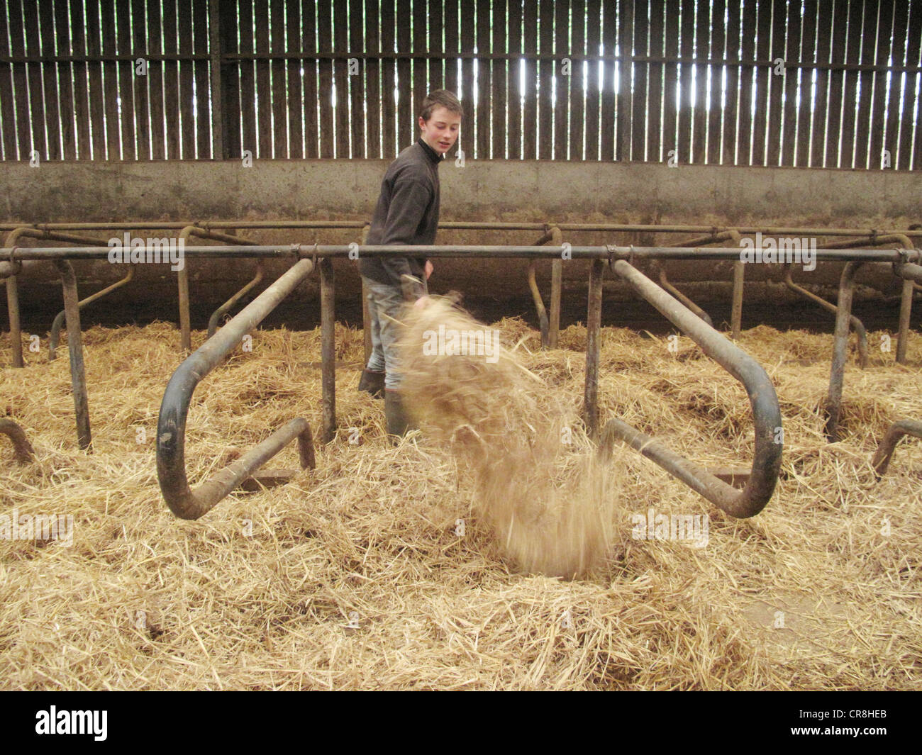 Teenager farm france hi-res stock photography and images - Alamy