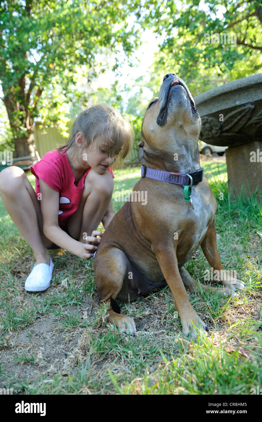 10 year old child scratching dog's back, dog in rapture Stock Photo - Alamy