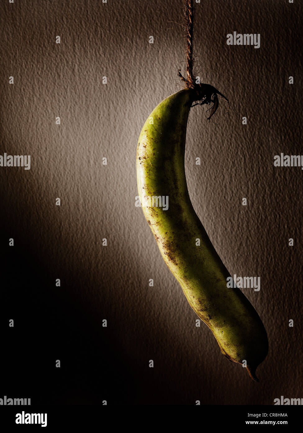 String bean alone hi-res stock photography and images - Alamy