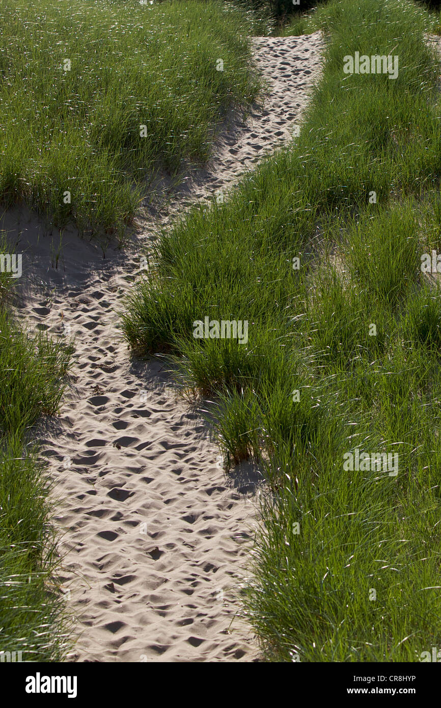 Dune footpath hi-res stock photography and images - Alamy