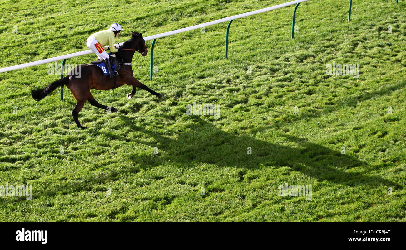 General view of horse racing at Fontwell Park. Picture by James ...
