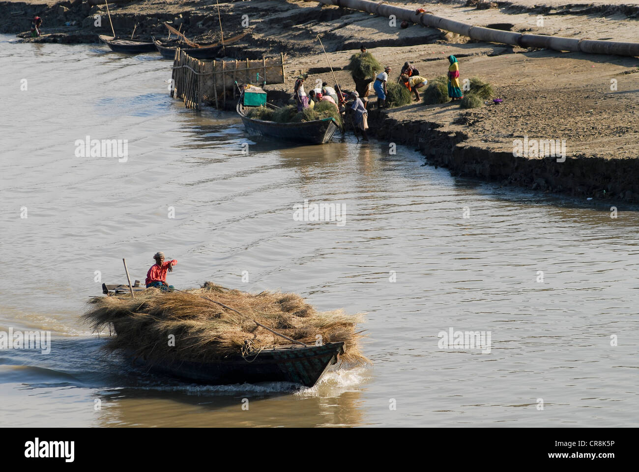 South asia , Bangladesh , cargo boat transporting jute at Ganges river ...