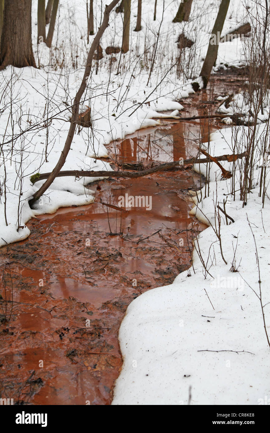 Russia. Moscow region. Zvenigorod place. Forest stream Stock Photo - Alamy