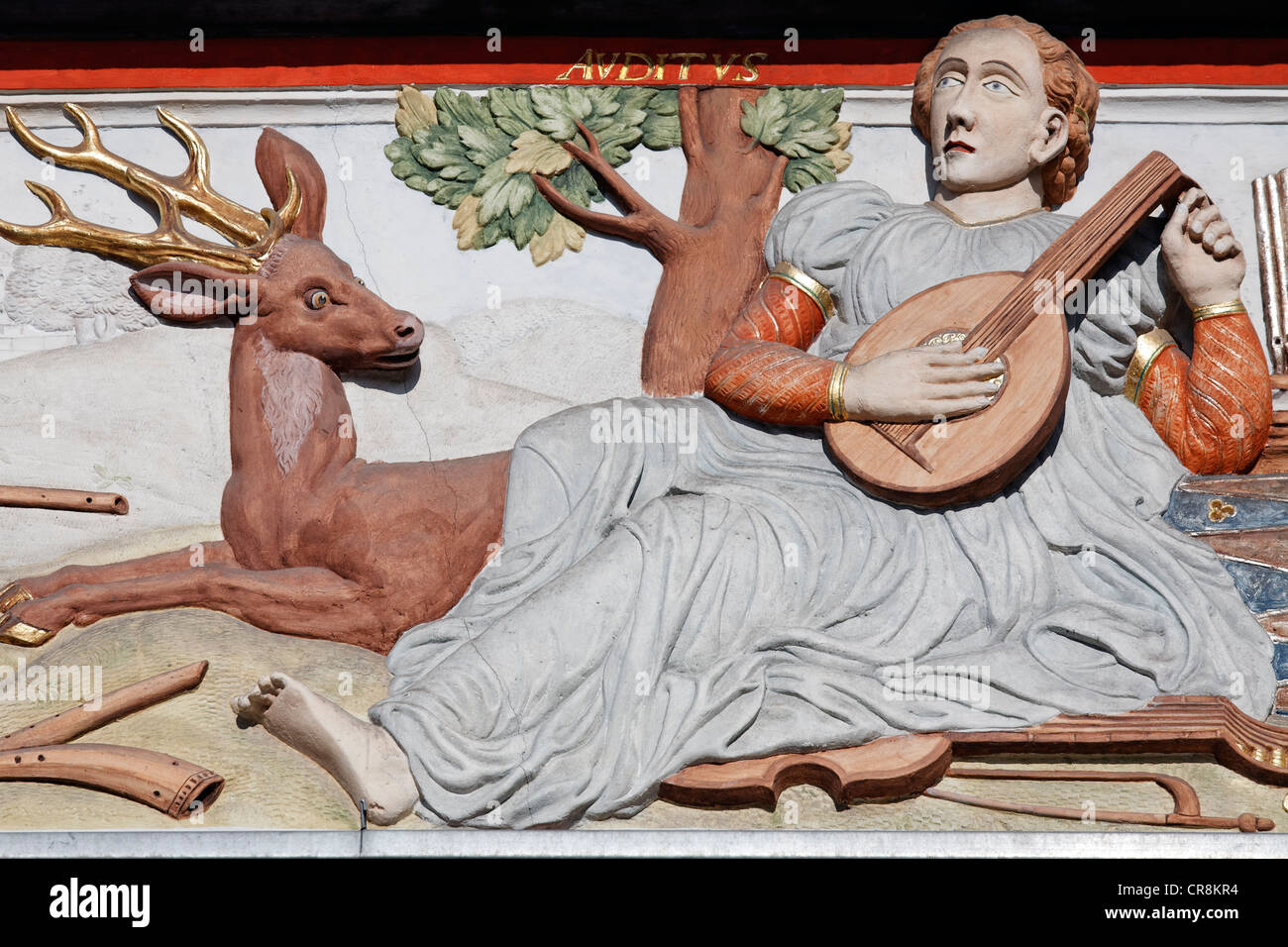 Historic string instrument hi-res stock photography and images - Alamy