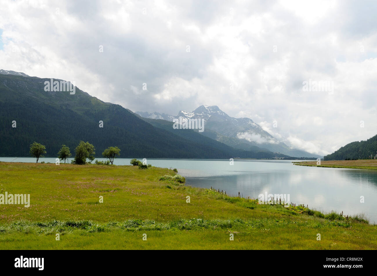 meadows on mountain lake shore Stock Photo - Alamy