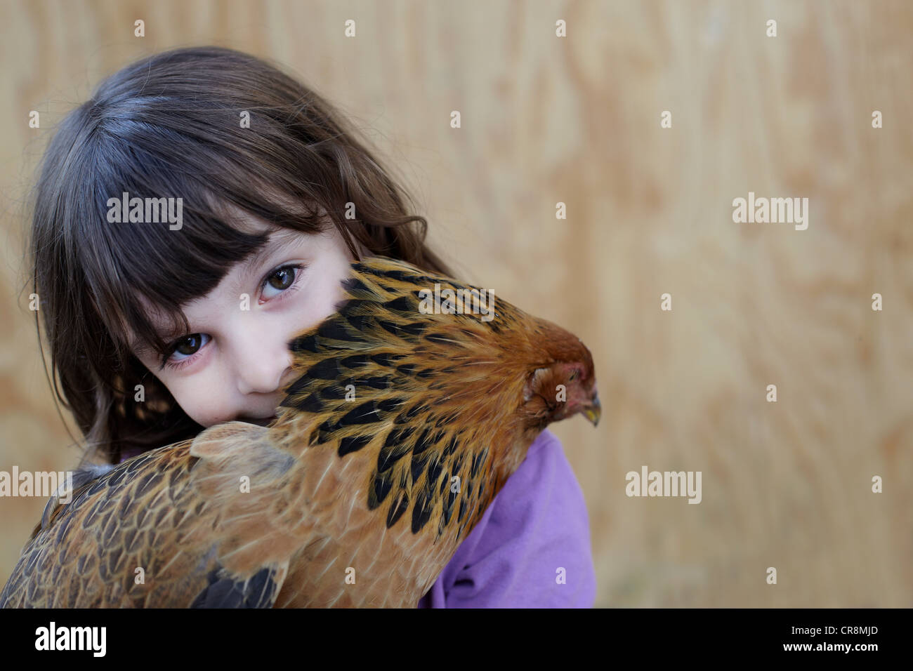 Girl holding hen Stock Photo - Alamy
