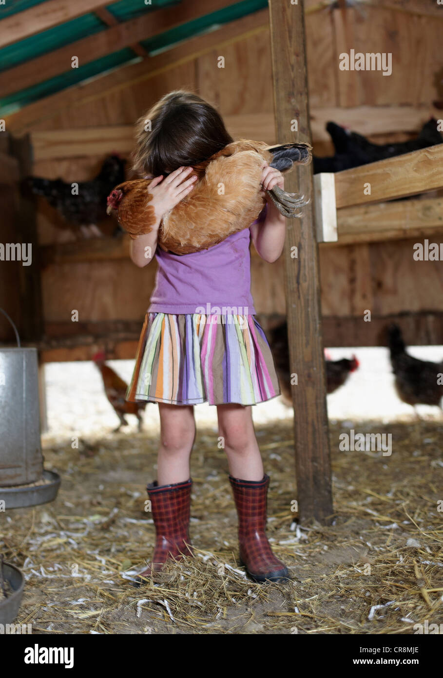 Hen house and children hi-res stock photography and images - Alamy
