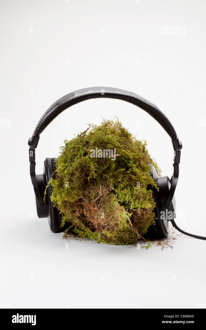 Lump of moss hi-res stock photography and images - Alamy