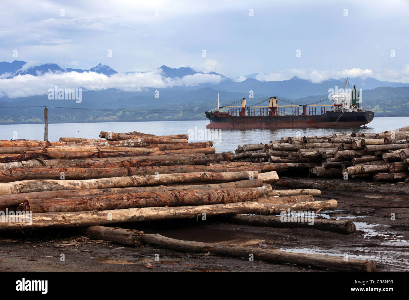 Loading Log Ship High Resolution Stock Photography and Images - Alamy