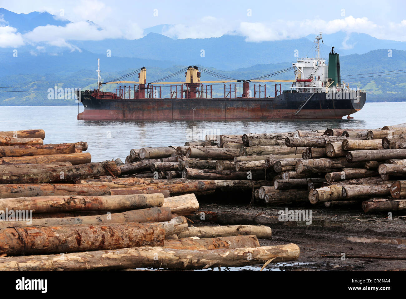 Loading Log Ship High Resolution Stock Photography and Images - Alamy