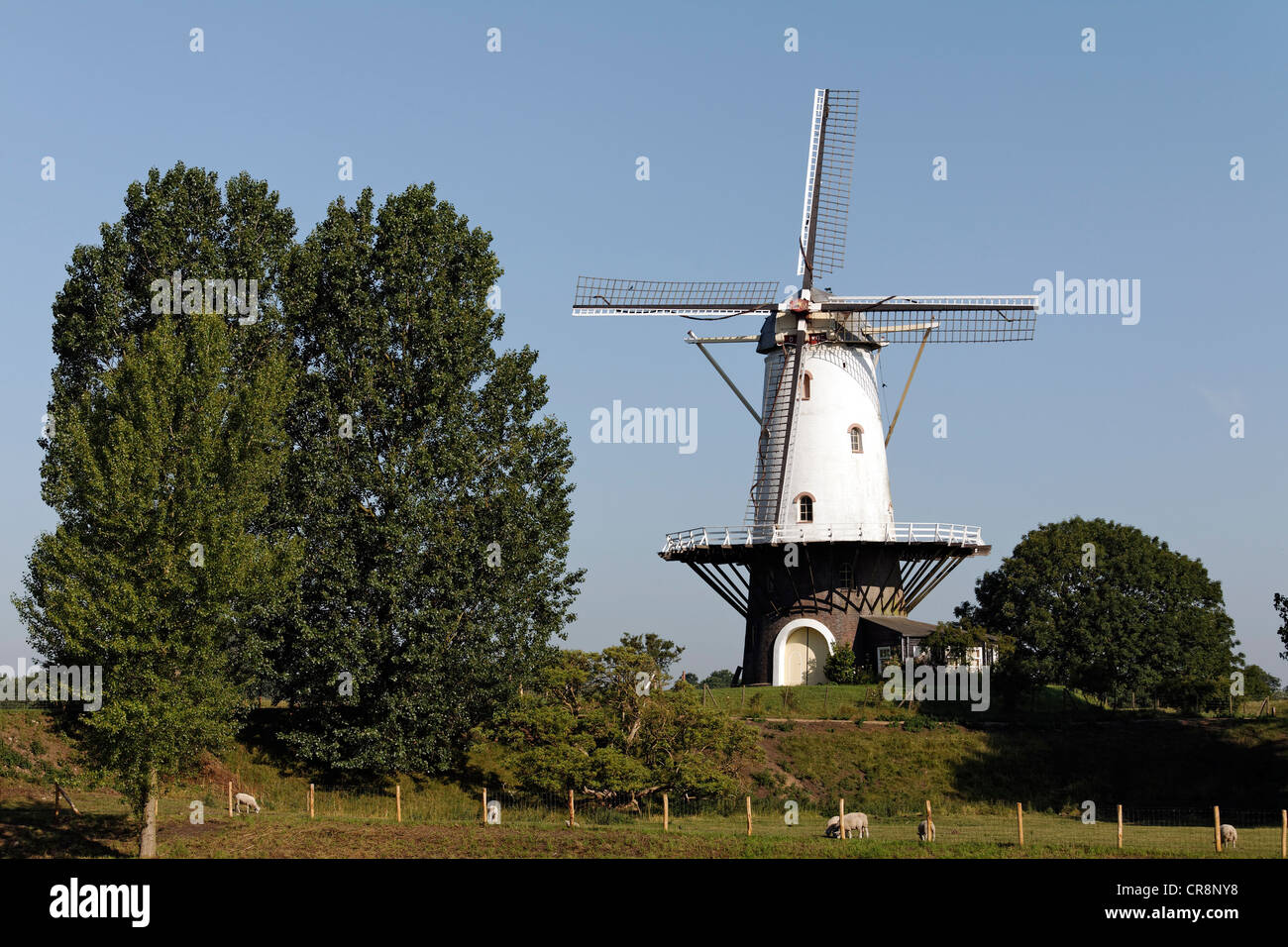 Dutch windmill, Veere, Walcheren, Zeeland, Netherlands, Europe Stock ...