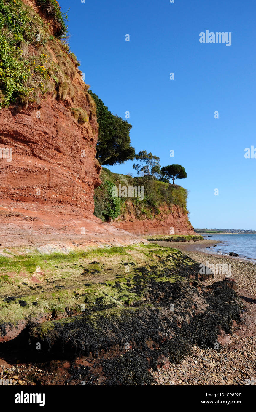 Lympstone england hi-res stock photography and images - Alamy