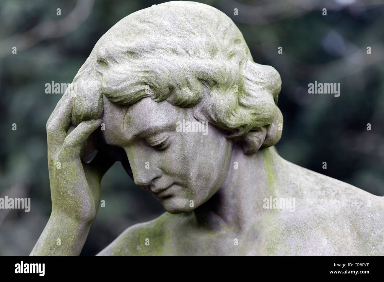 Head of a grieving angel, historic grave sculpture, Nordfriedhof ...