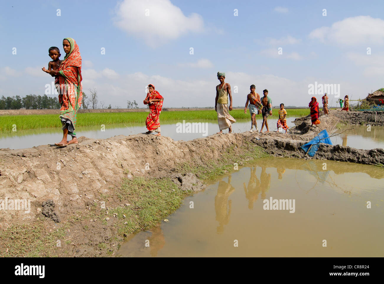 Ganges delta farm hi-res stock photography and images - Alamy
