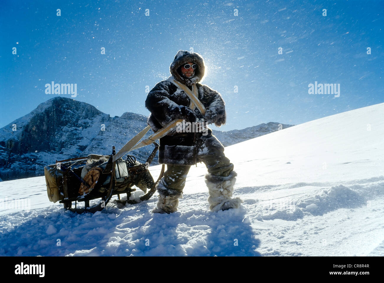 Man dressed as a historic polar explorer dragging a heavy sled through ...