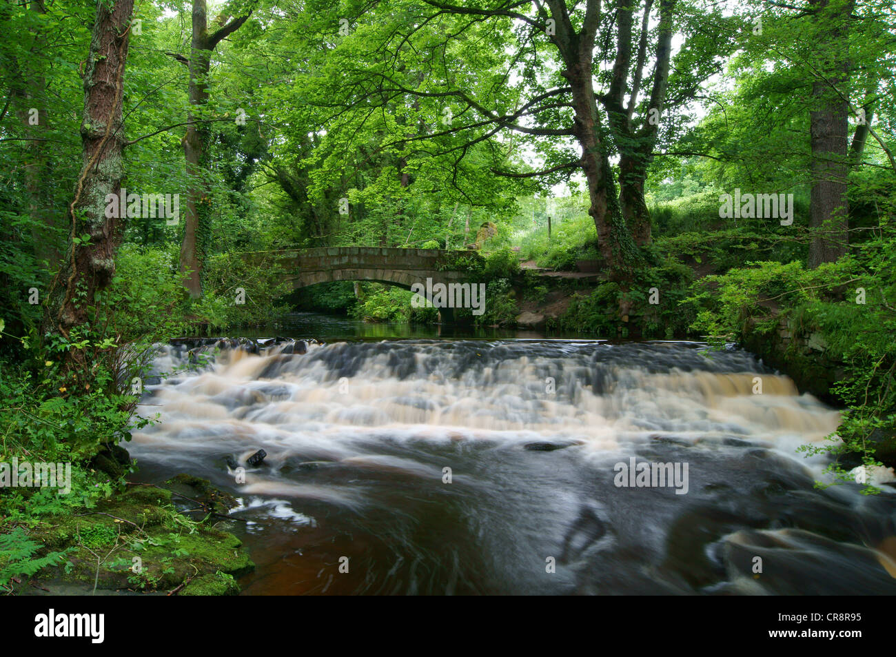 Rivelin valley nature trail hi-res stock photography and images - Alamy