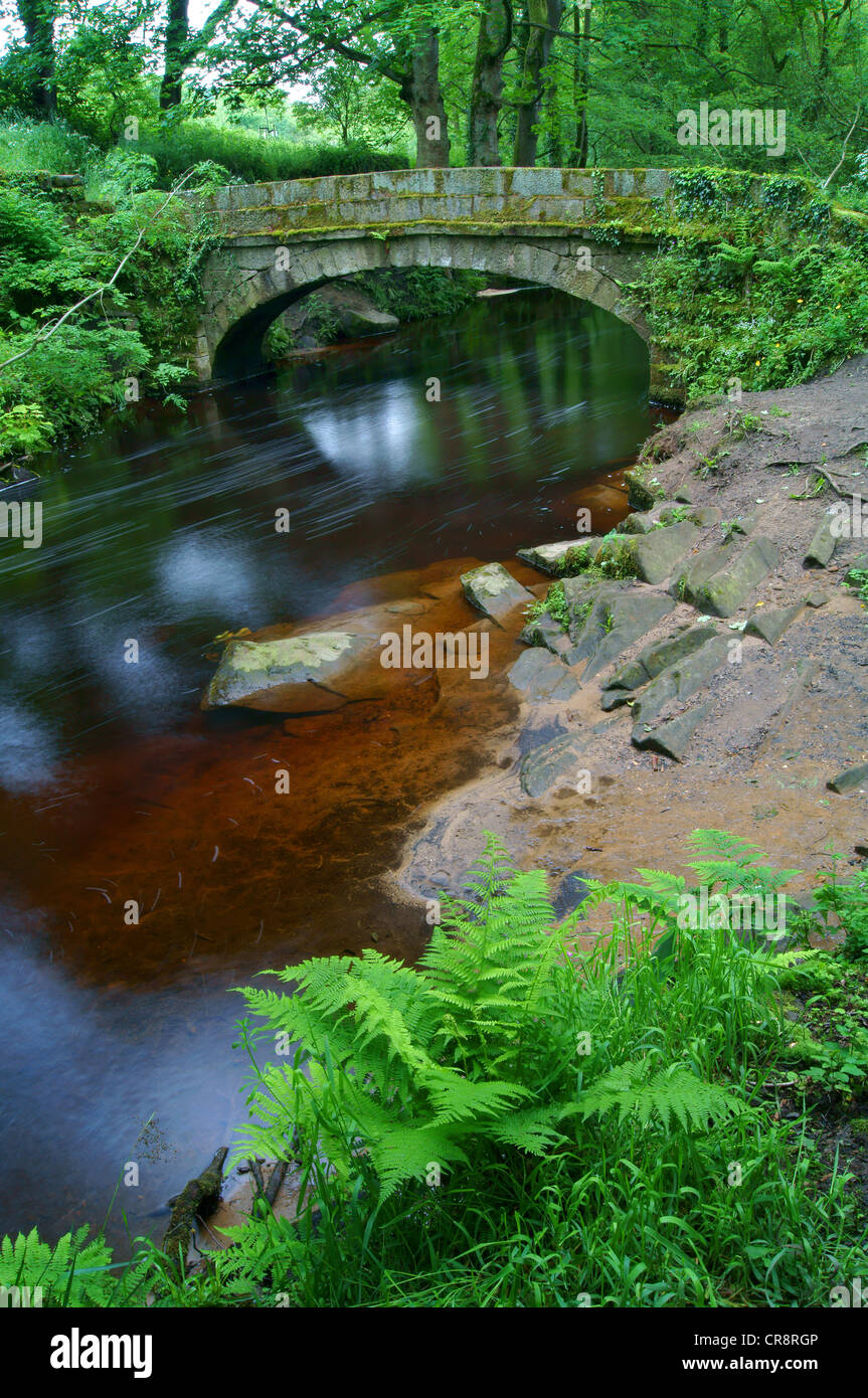 UK,South Yorkshire,Sheffield,River Rivelin,Pack Horse Bridge Stock ...