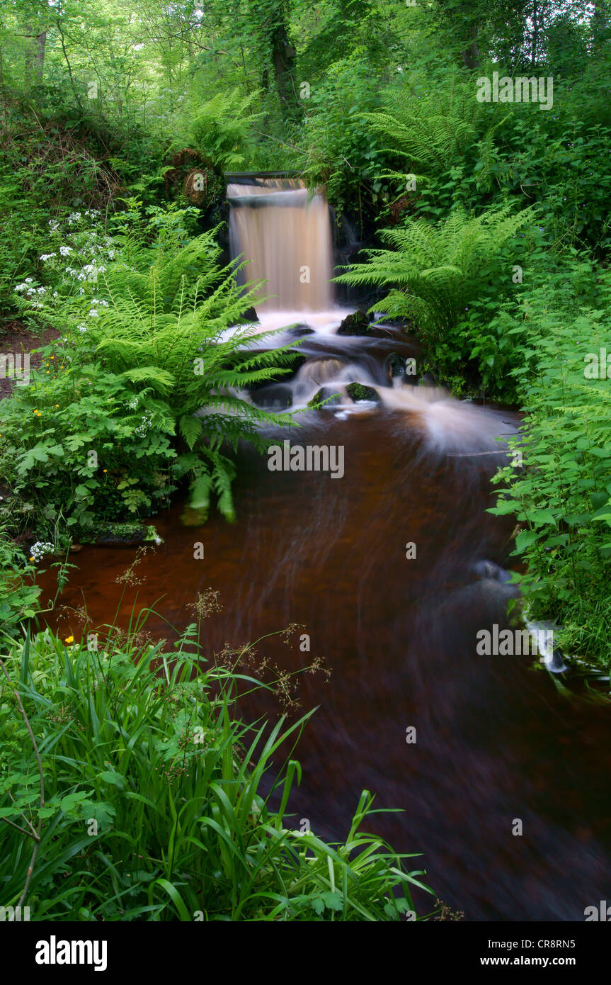 UK,South Yorkshire,Sheffield,Rivelin Valley,Upper Coppice Wheel Stock ...