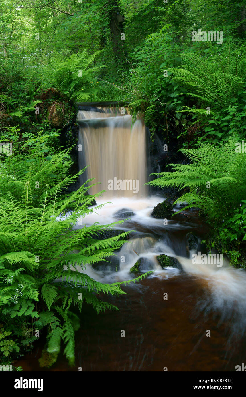 Rivelin valley hi-res stock photography and images - Alamy