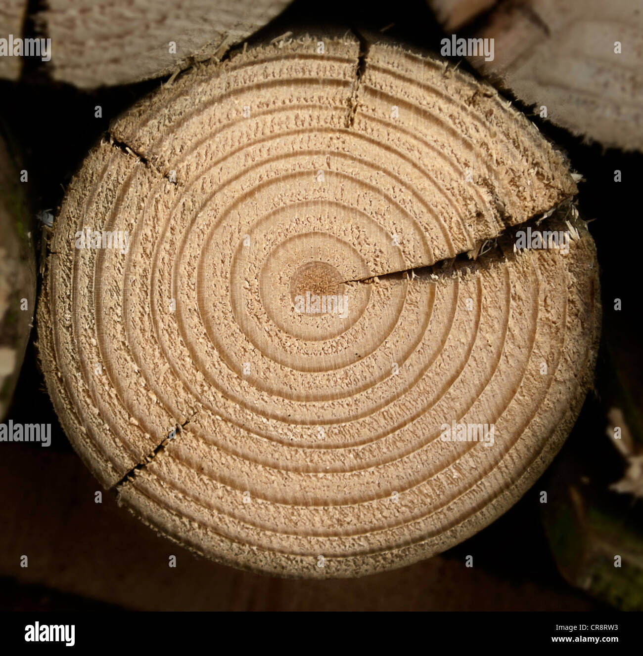 Wood sawn hi-res stock photography and images - Alamy