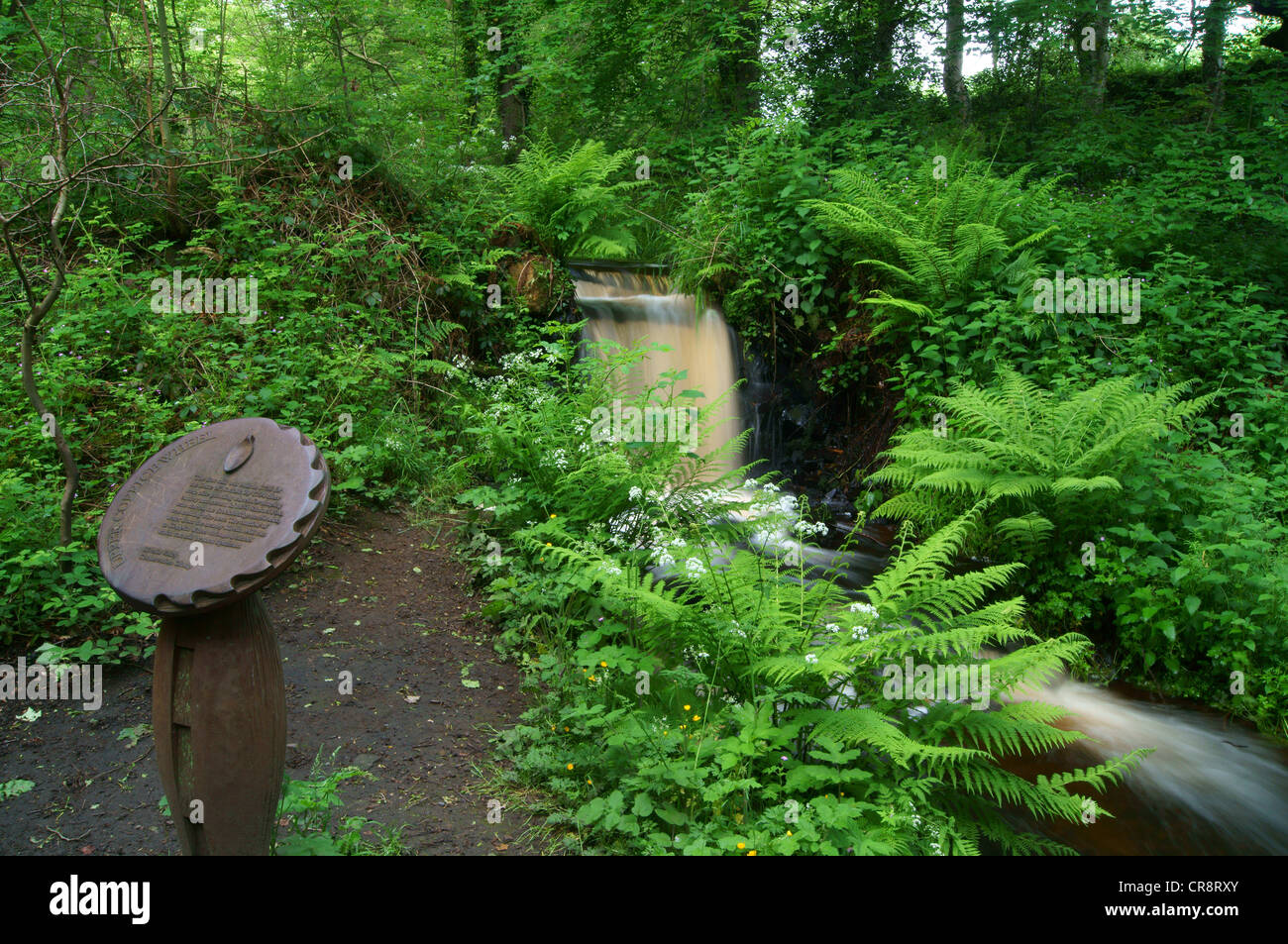 UK,South Yorkshire,Sheffield,Rivelin Valley,Upper Coppice Wheel Stock ...