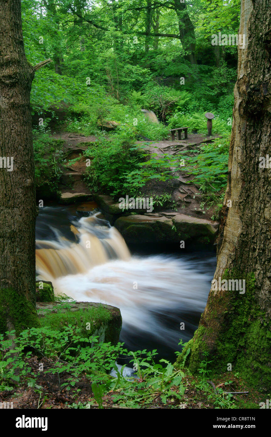 UK,South Yorkshire,Sheffield,River Rivelin Waterfall near Upper Coppice ...