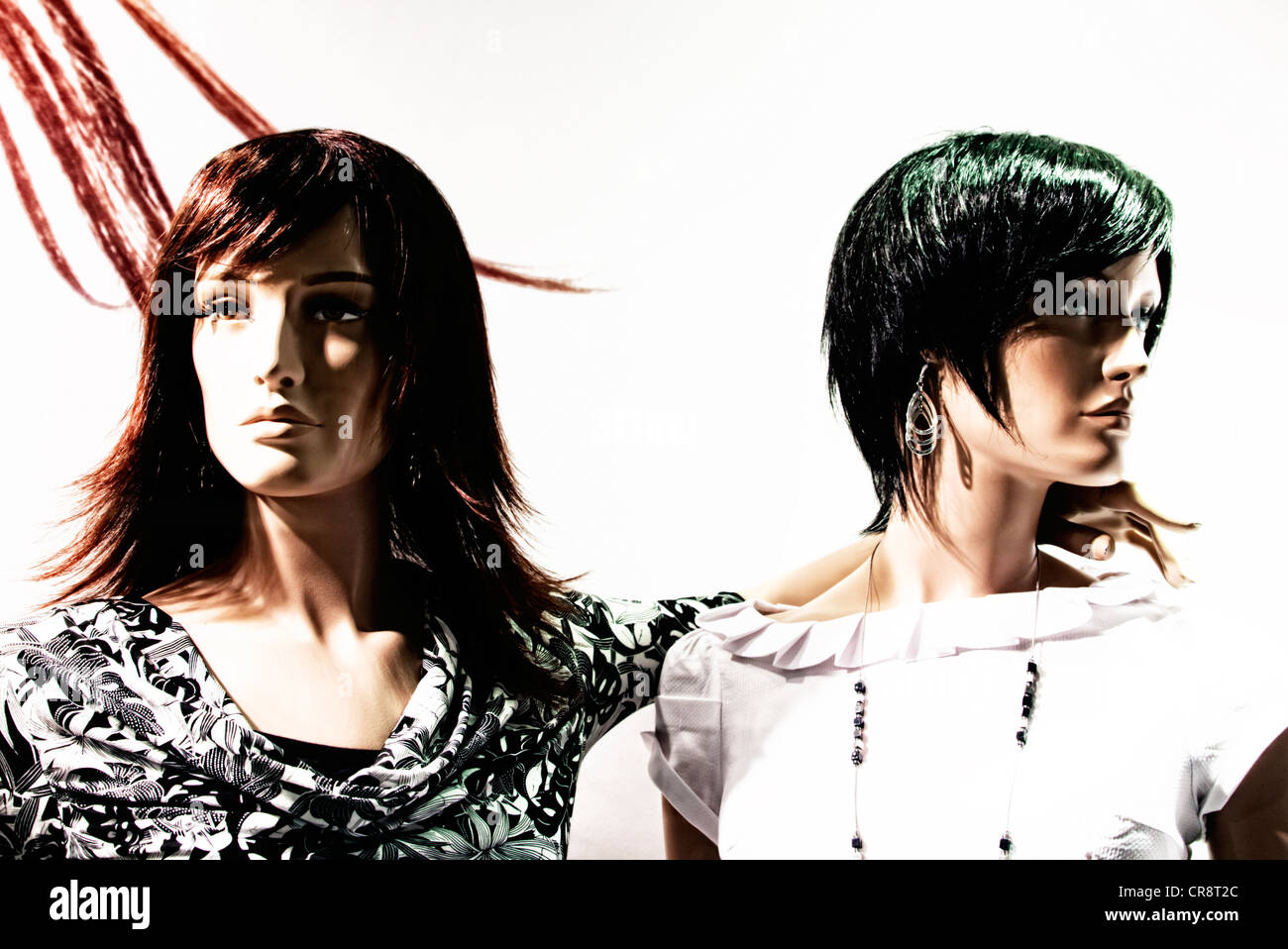 Next shop and window display hi-res stock photography and images - Alamy