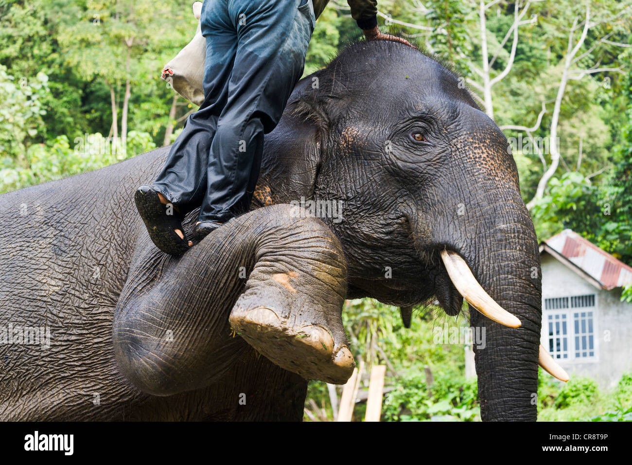 Mounting climb hi-res stock photography and images - Alamy