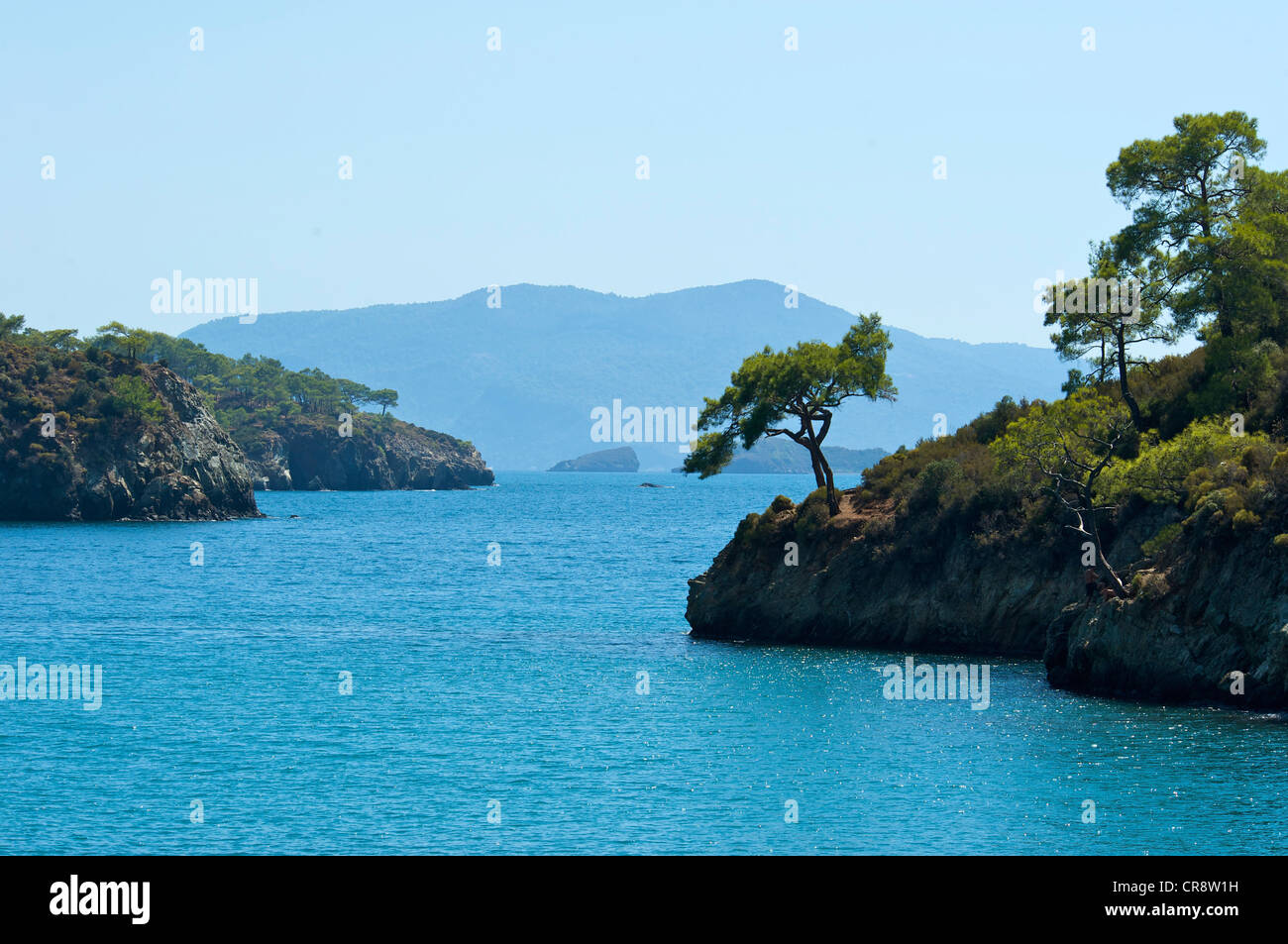 Coastal vegetation, Turkish Aegean Coast, Turkey Stock Photo - Alamy