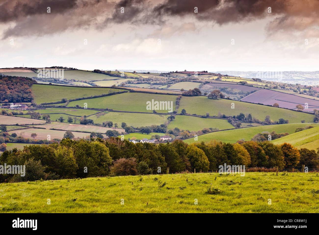 Green hills devon hi-res stock photography and images - Alamy