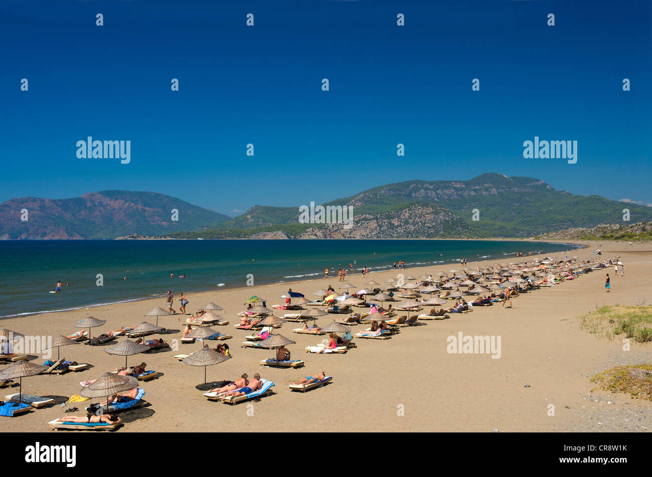 Turtle Beach Dalyan Turkey