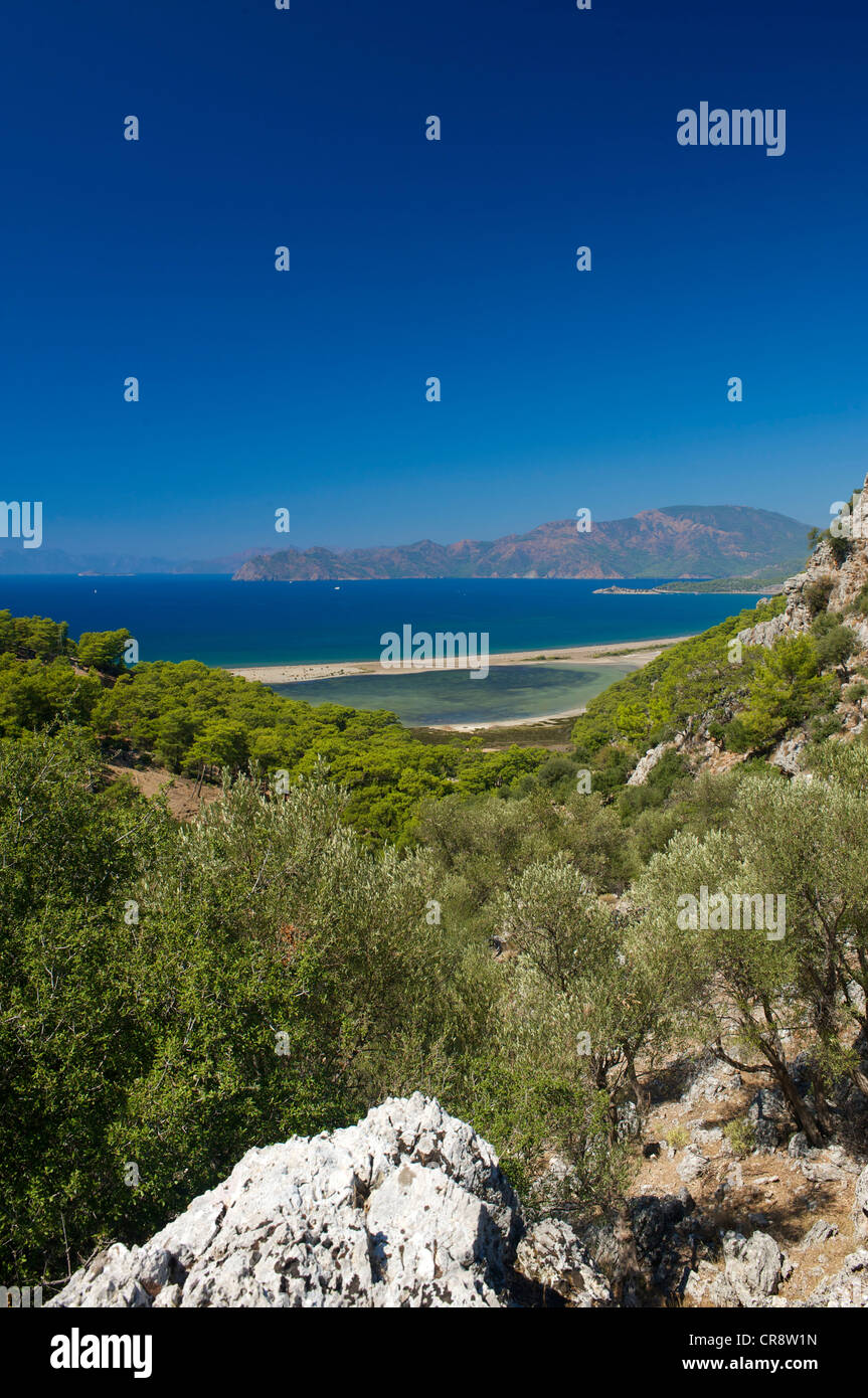 Turtle beach dalyan and turtle hi-res stock photography and images - Alamy