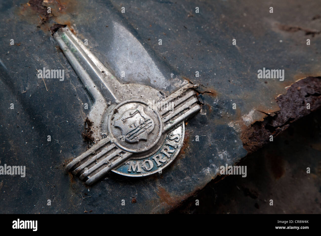 A Morris badge from a Morris 1000 traveller Stock Photo - Alamy