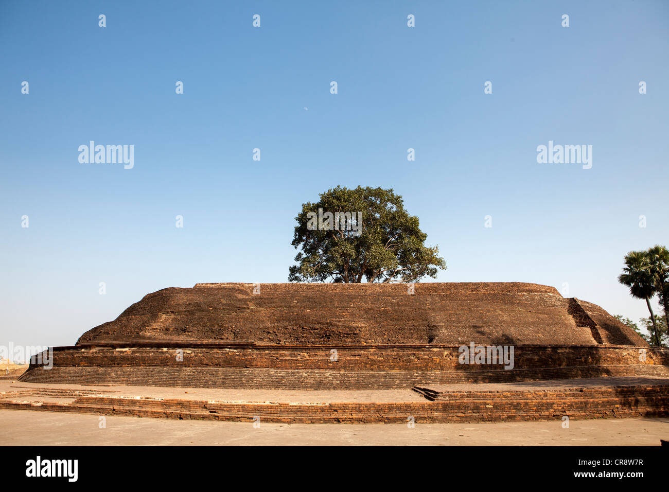 Stupa of Sujata Garh, Bodh Gaya, Bihar, India Stock Photo - Alamy