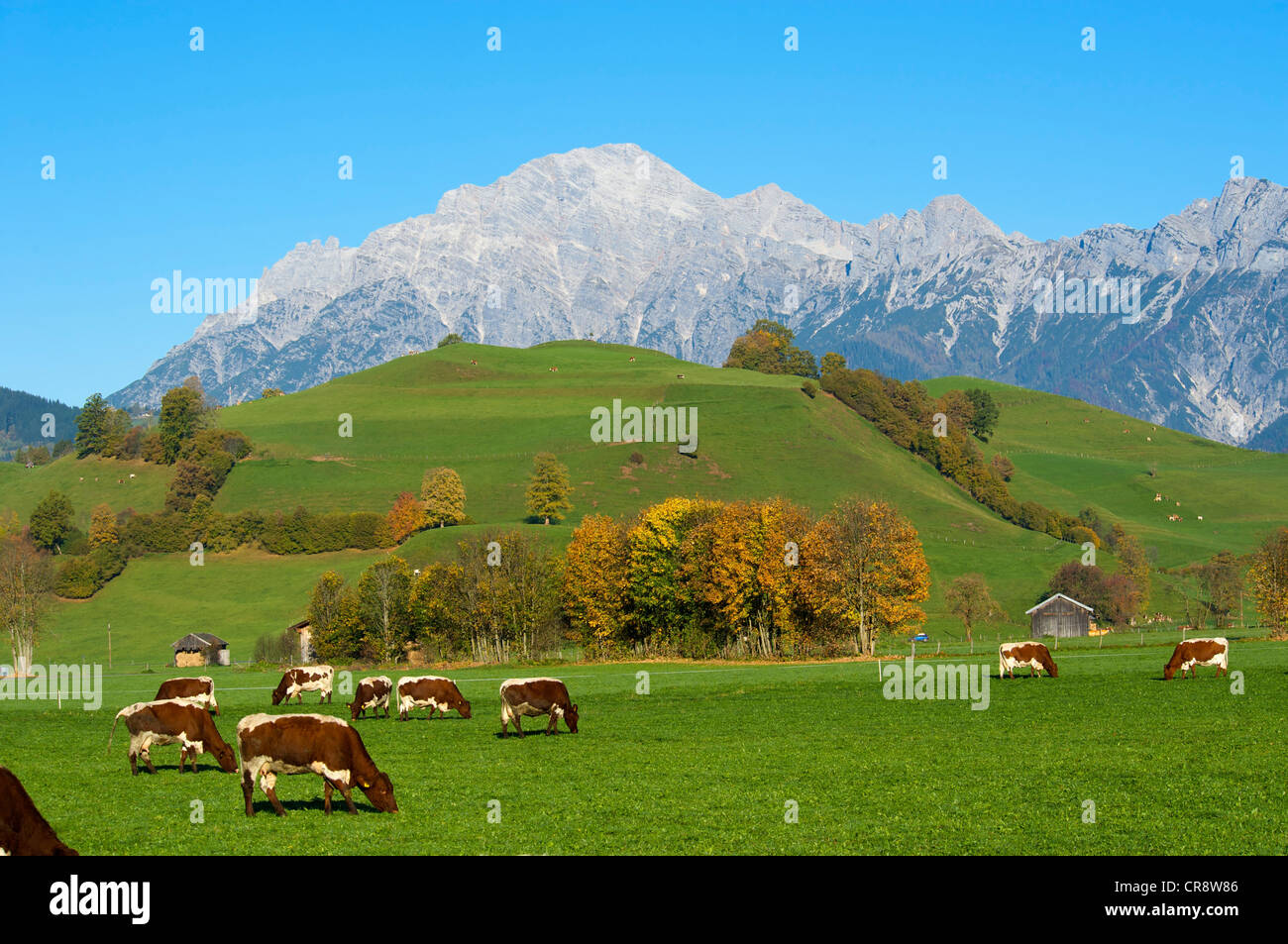 View of Leoganger Steinberge mountain range in the Pinzgau region ...
