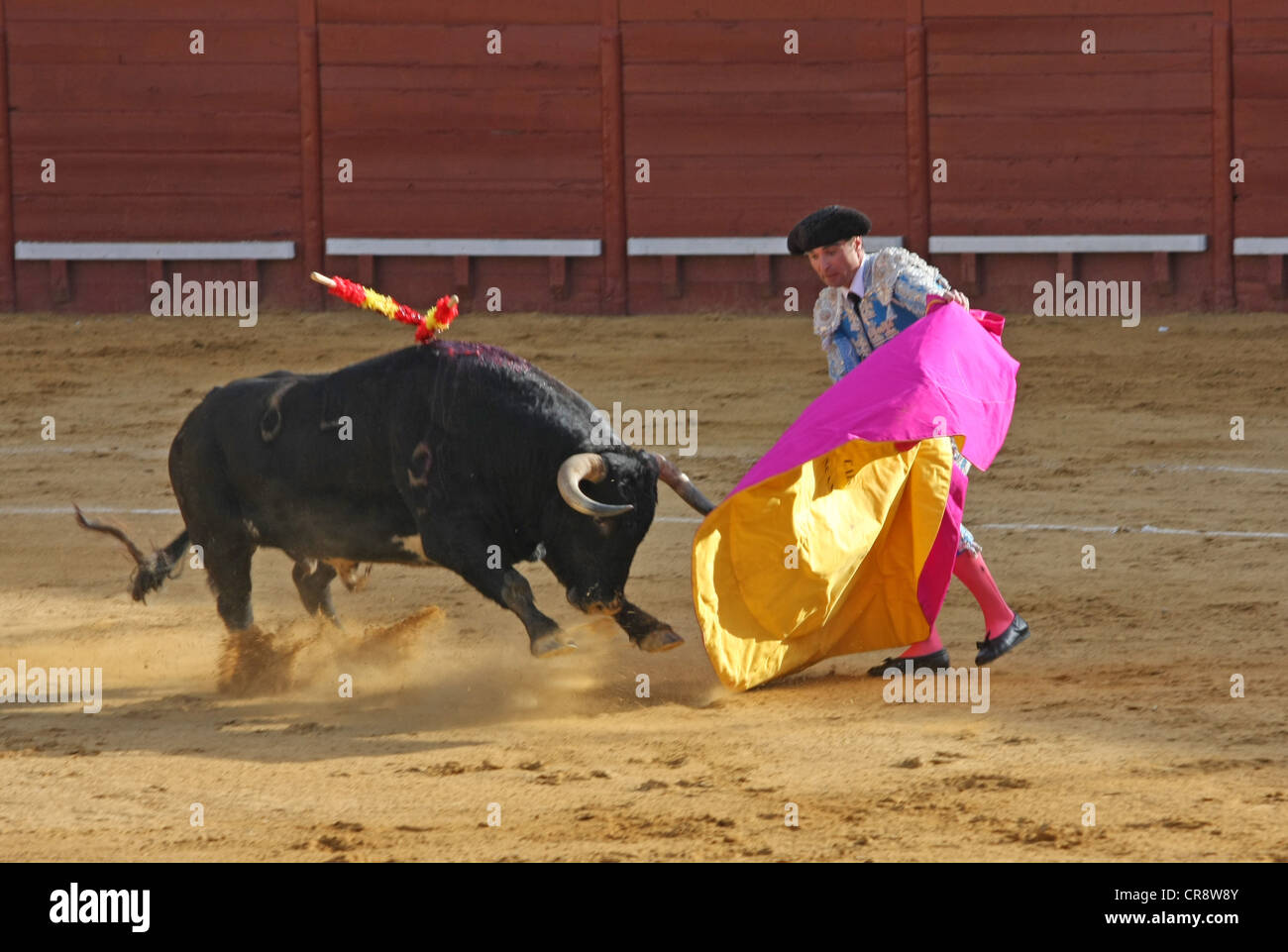 Bullfight matador arena bull hi-res stock photography and images - Alamy