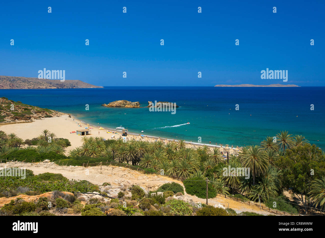 Palm beach Vai, Crete, Greece, Europe Stock Photo - Alamy
