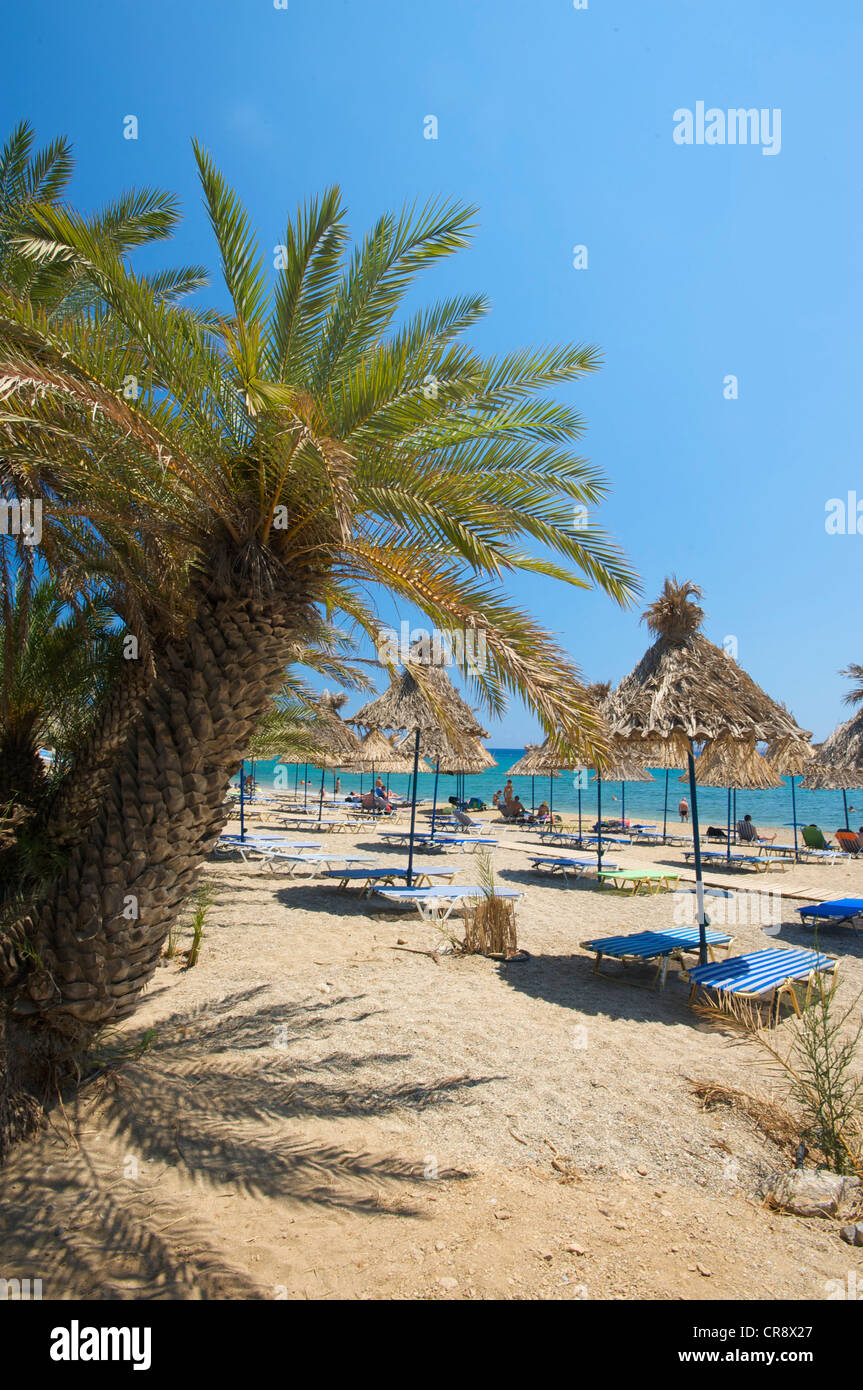 Palm beach of Vai, Crete, Greece, Europe Stock Photo - Alamy