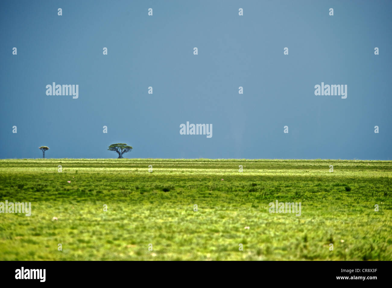 Horizontal rain hi-res stock photography and images - Alamy