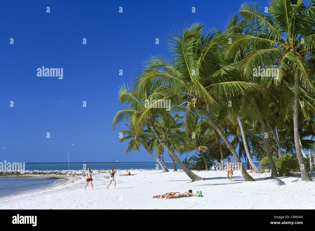 Smathers Beach, Key West, Florida Keys, Florida, USA Stock Photo - Alamy