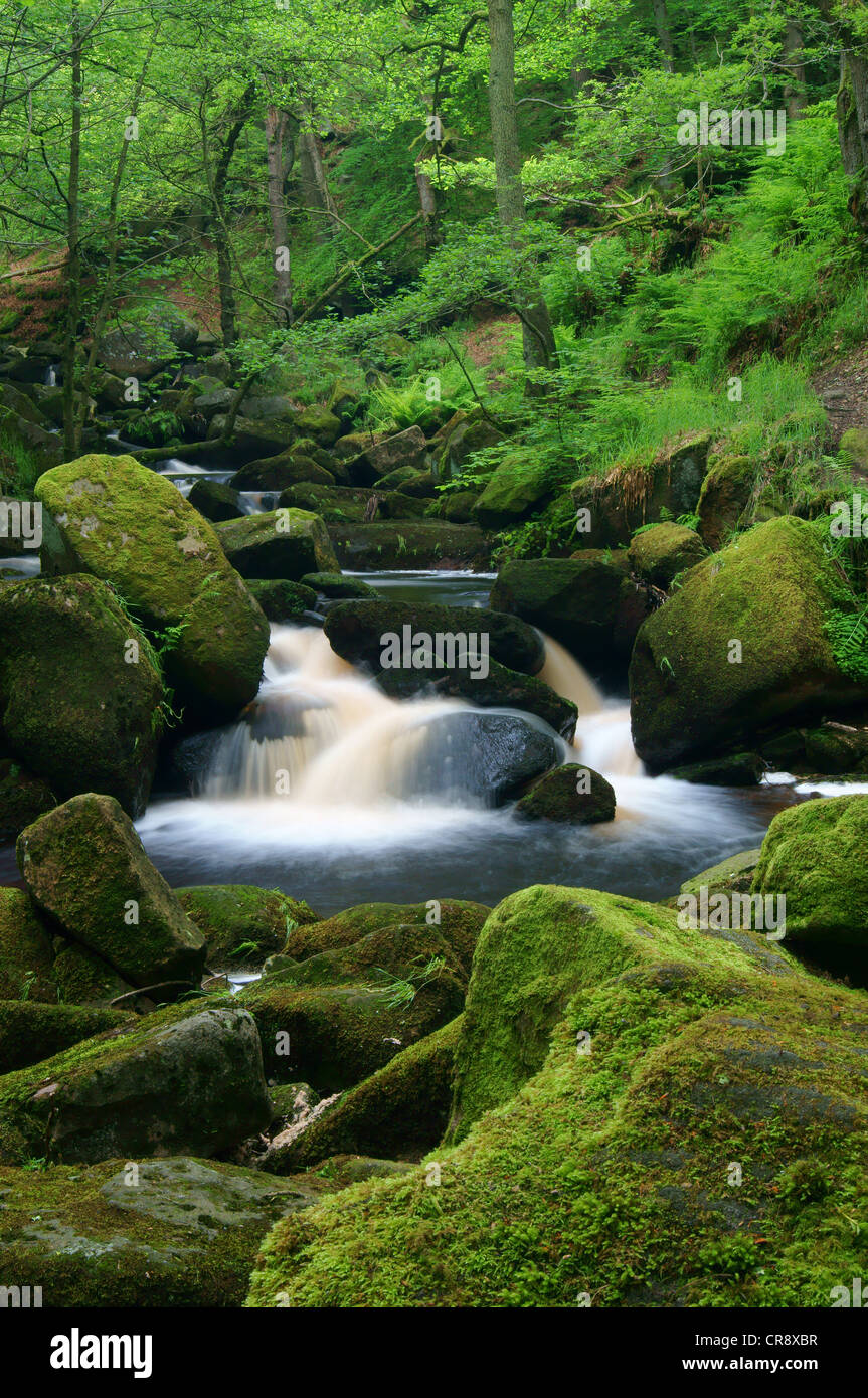 UK,Derbyshire,Peak District,Burbage Brook Flowing Through Padley Gorge ...