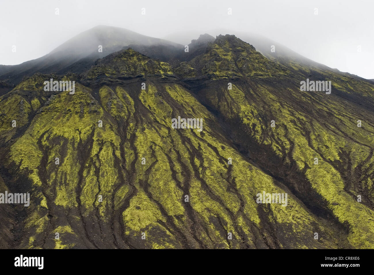 Mossy slopes at Langisjór, highlands, Iceland, Europe Stock Photo - Alamy